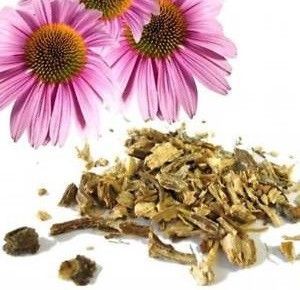 HerbStore - Βότανα και Φυτικά προϊόντα υγείας - Καλώς ήρθατε