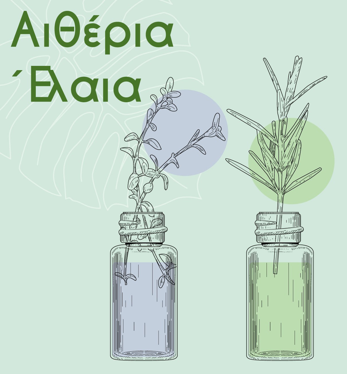 HerbStore - Βότανα και Φυτικά προϊόντα υγείας - Καλώς ήρθατε