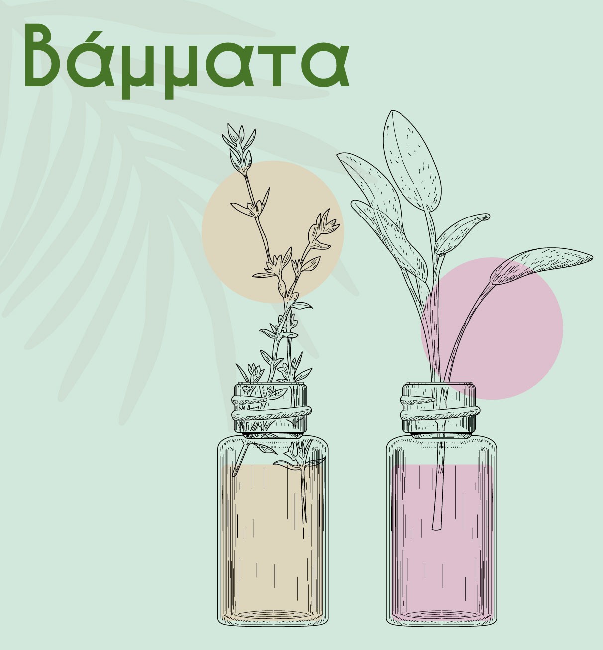 HerbStore - Βότανα και Φυτικά προϊόντα υγείας - Καλώς ήρθατε